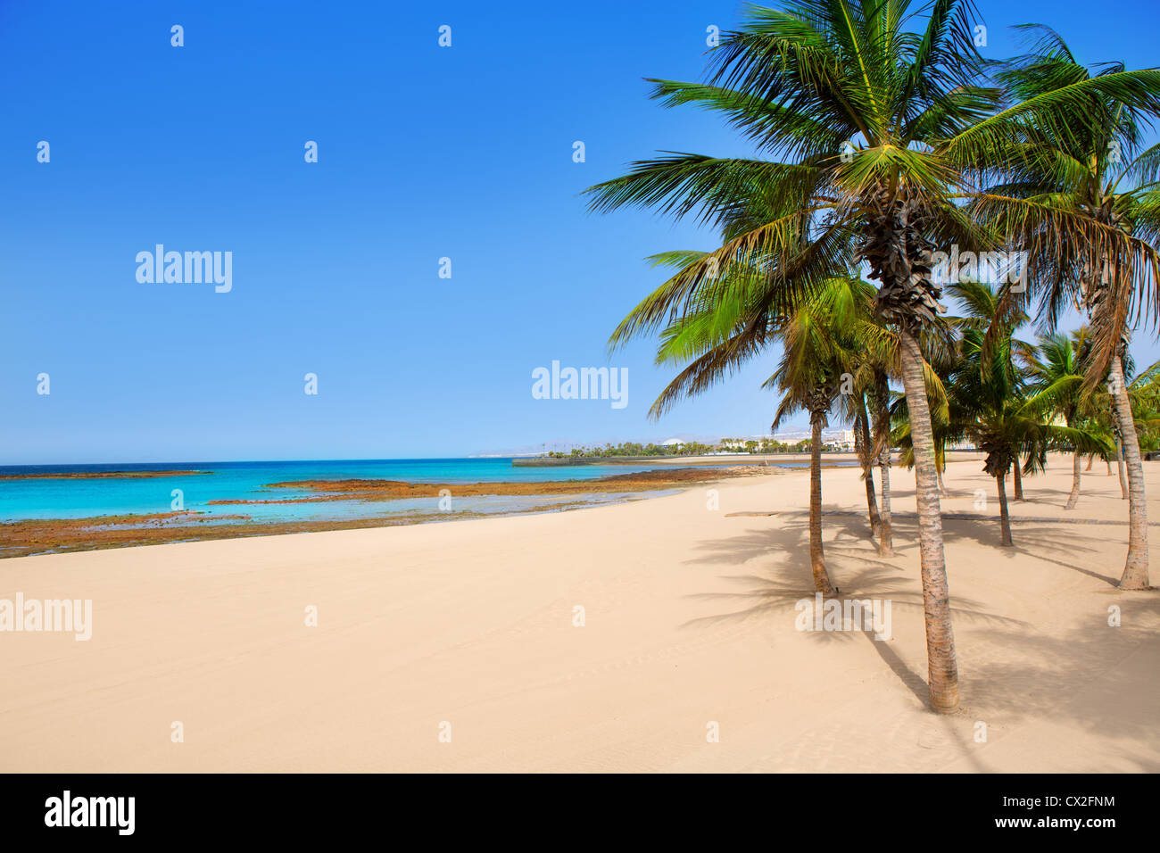 Arrecife Lanzarote Playa Reducto beach tropical palm trees at Canary ...