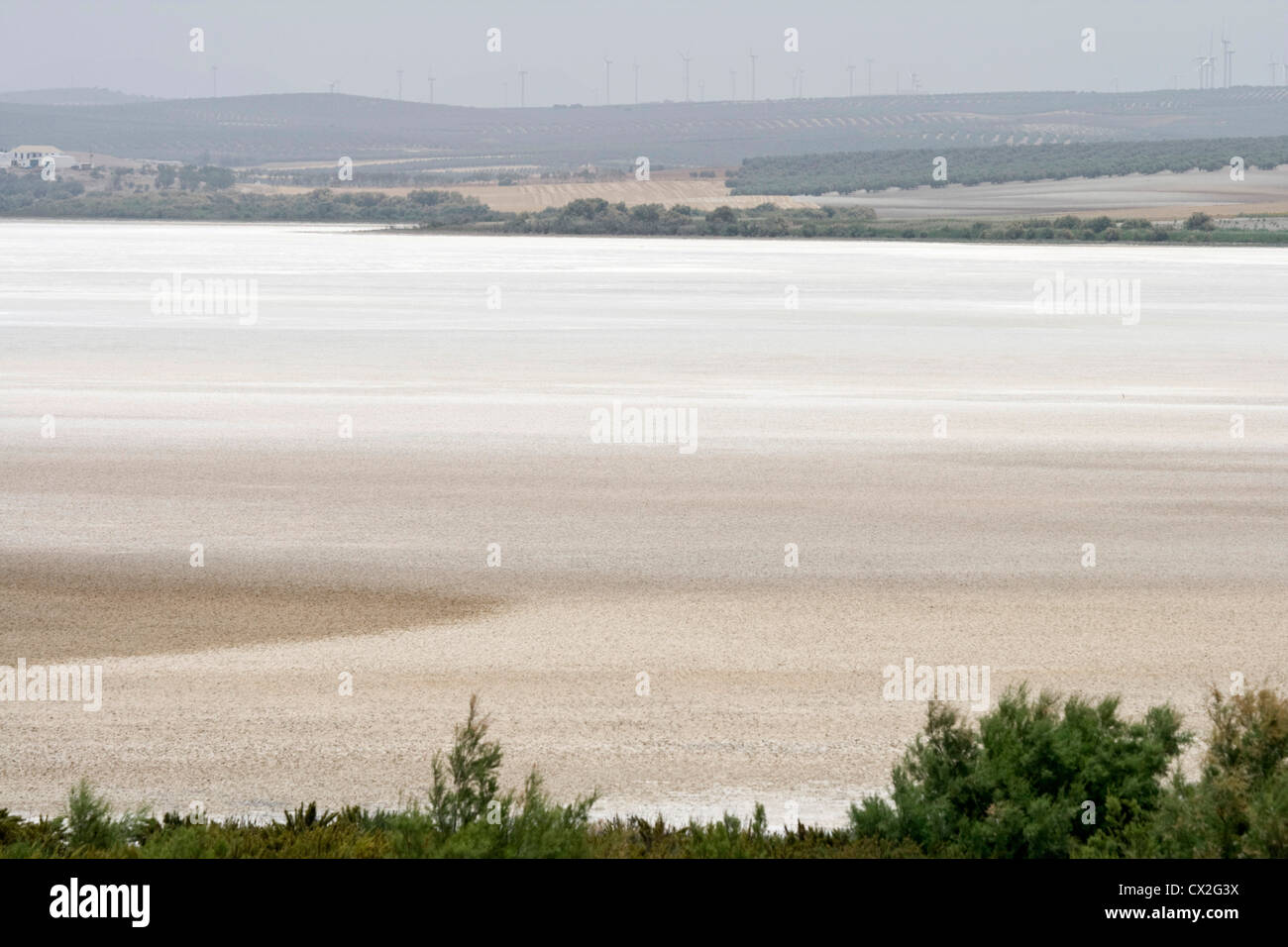 Salt flats of the Lagoon of Fuente de Piedra, Andalusia Spain Stock ...
