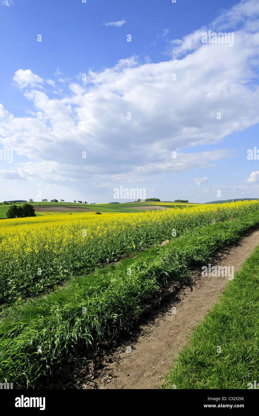 country landscape, spring, weather Stock Photo - Alamy