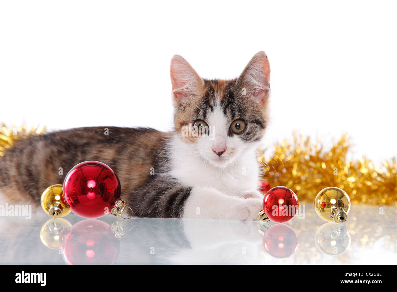 Mirrored baubles hi-res stock photography and images - Alamy