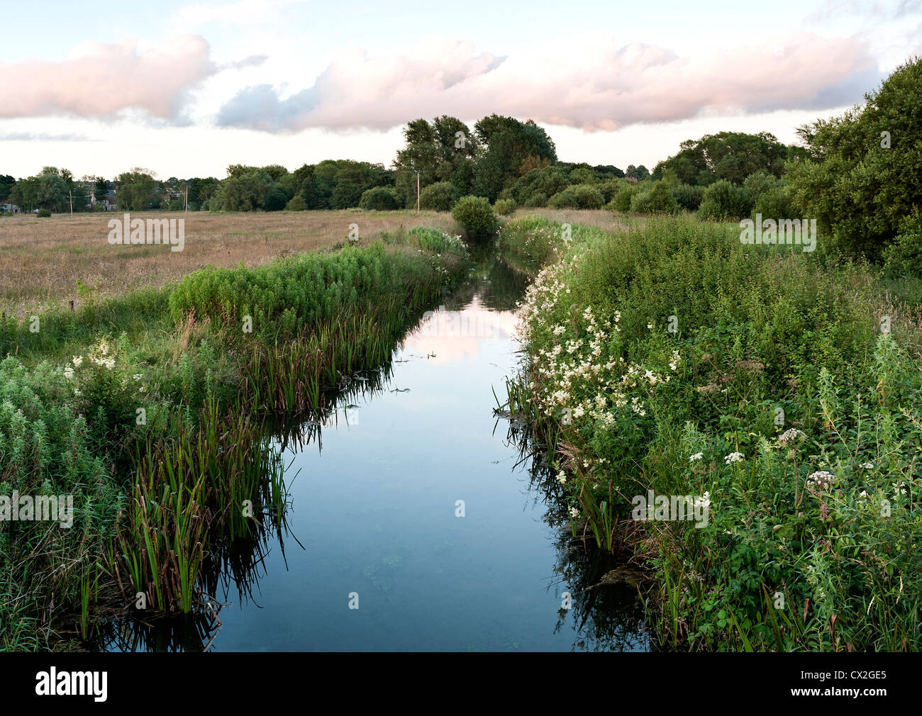 Vale of pickering summer hi-res stock photography and images - Alamy