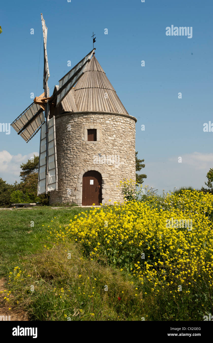 Ancient windmill and flowers in the Luberon region of Provence, France ...