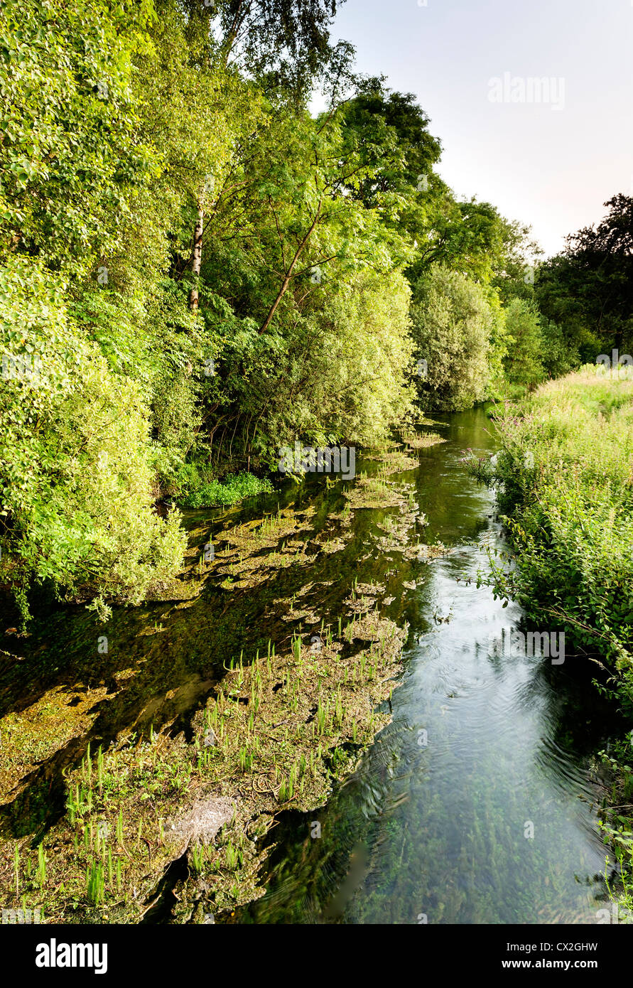 Vale of pickering summer hi-res stock photography and images - Alamy