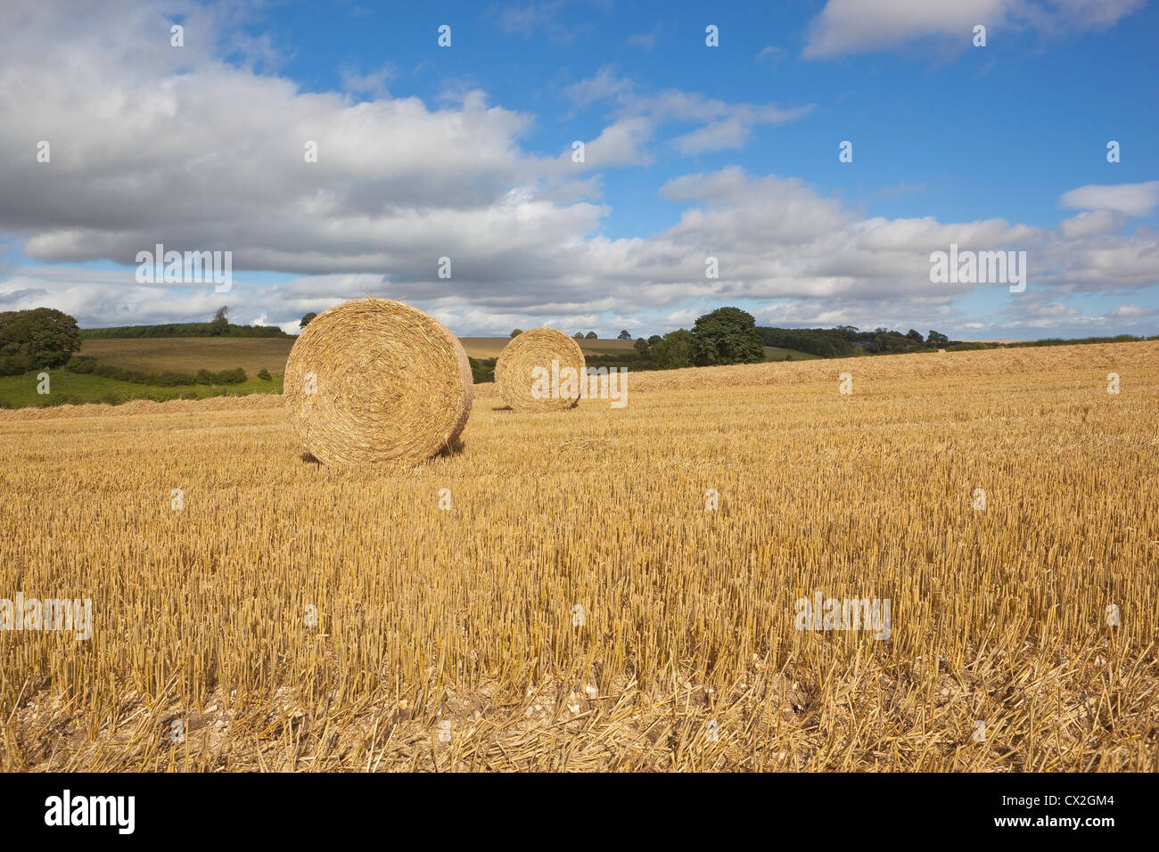 Large straw bales hi-res stock photography and images - Alamy