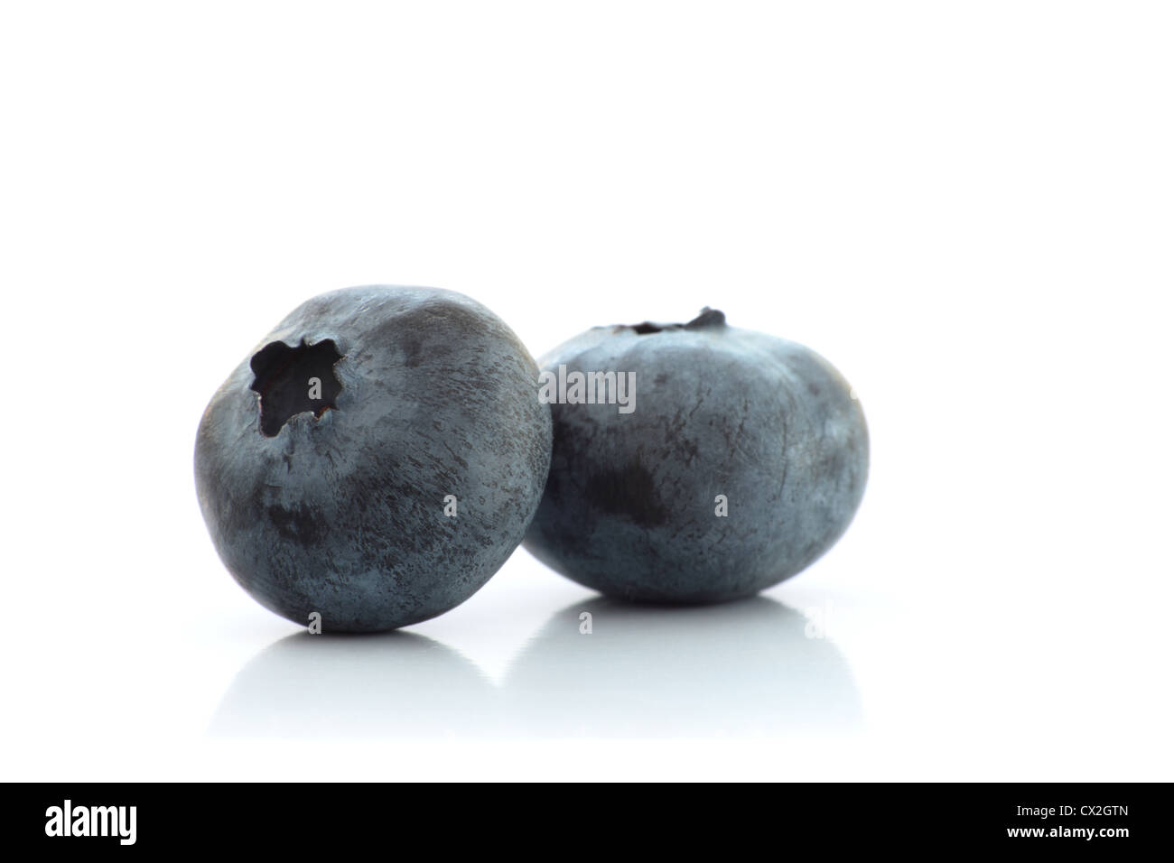 Two blueberries close up isolated on a white background Stock Photo - Alamy