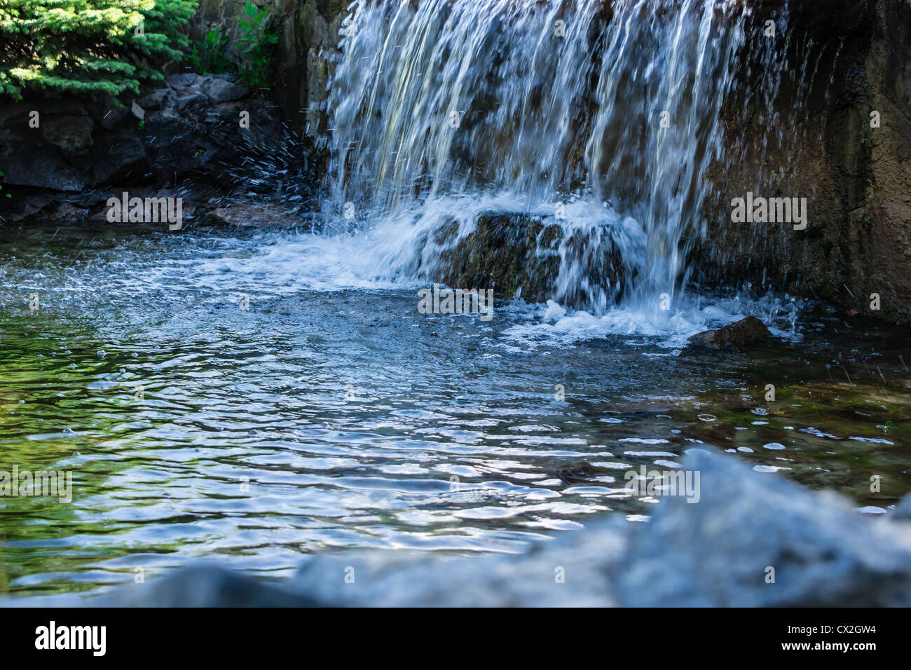 forest stream with a waterfall Stock Photo - Alamy