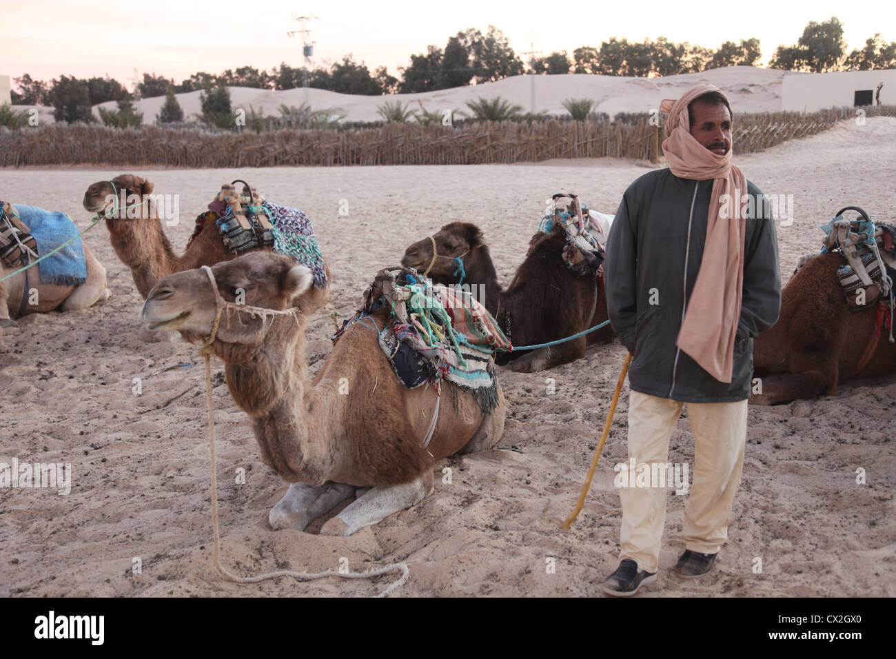Morning in Sahara desert Stock Photo - Alamy