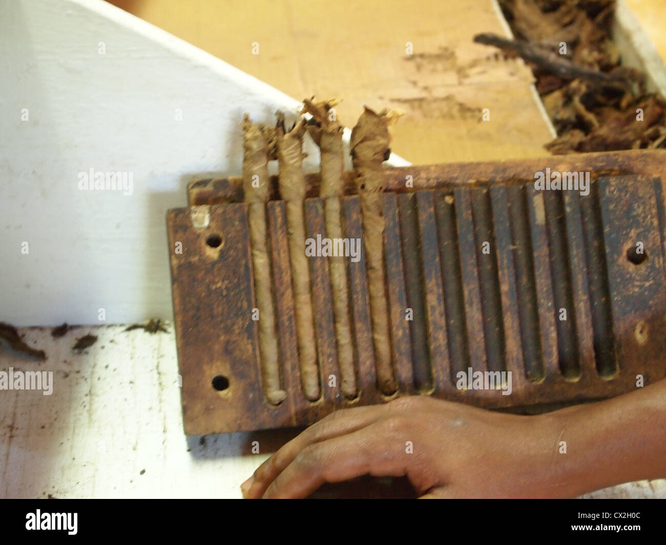 Half made cigars Stock Photo - Alamy