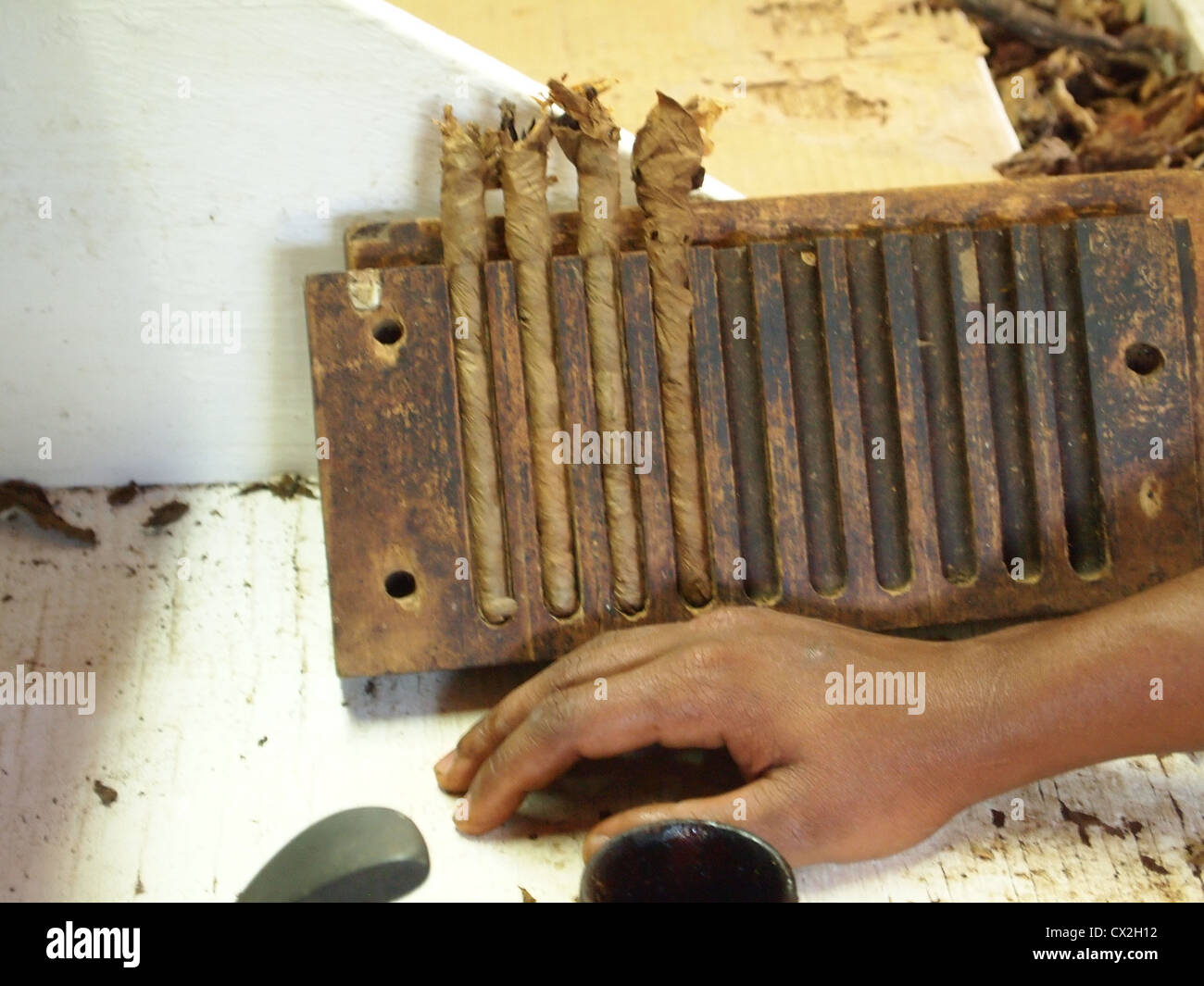 Half made cigars Stock Photo - Alamy