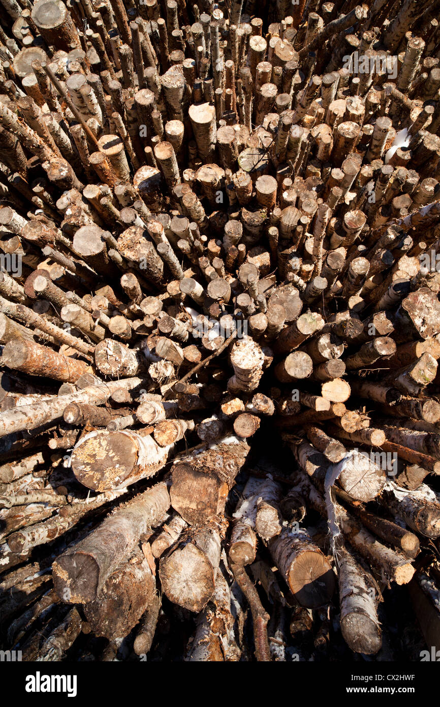 Decaying Wood Pile High Resolution Stock Photography and Images - Alamy