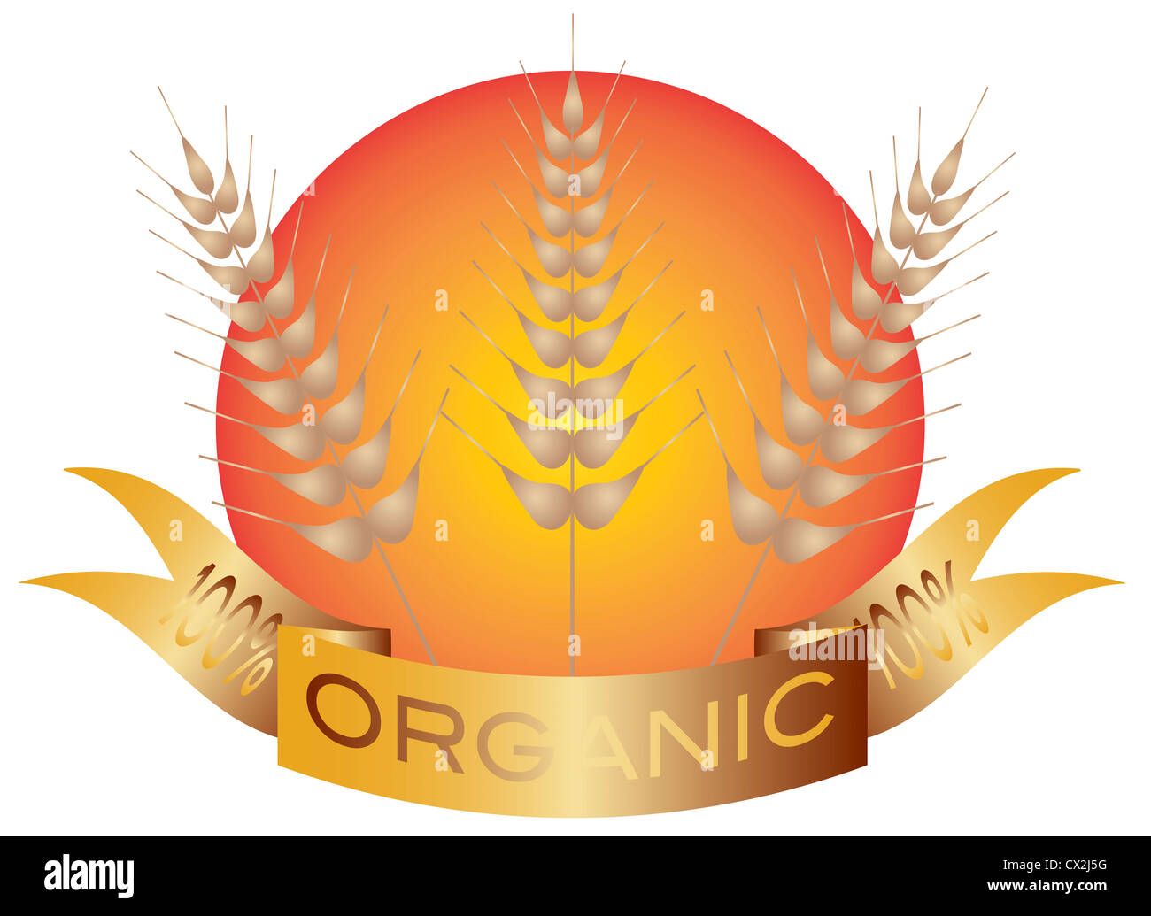Wheat Grain Stalk with Banner and Sun Background Illustration Stock ...