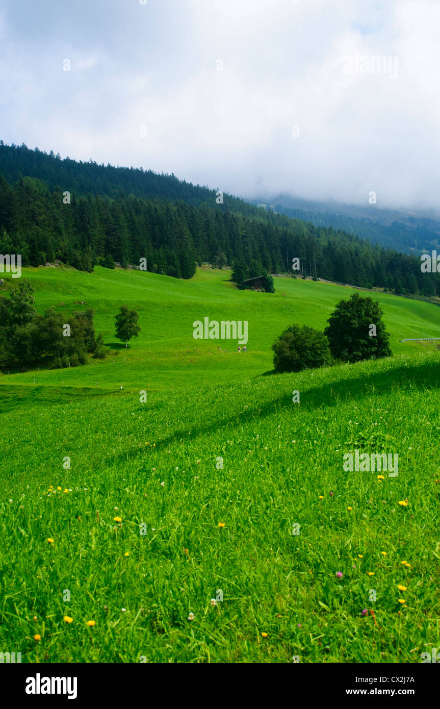 Zillertal ziller valley hi-res stock photography and images - Alamy