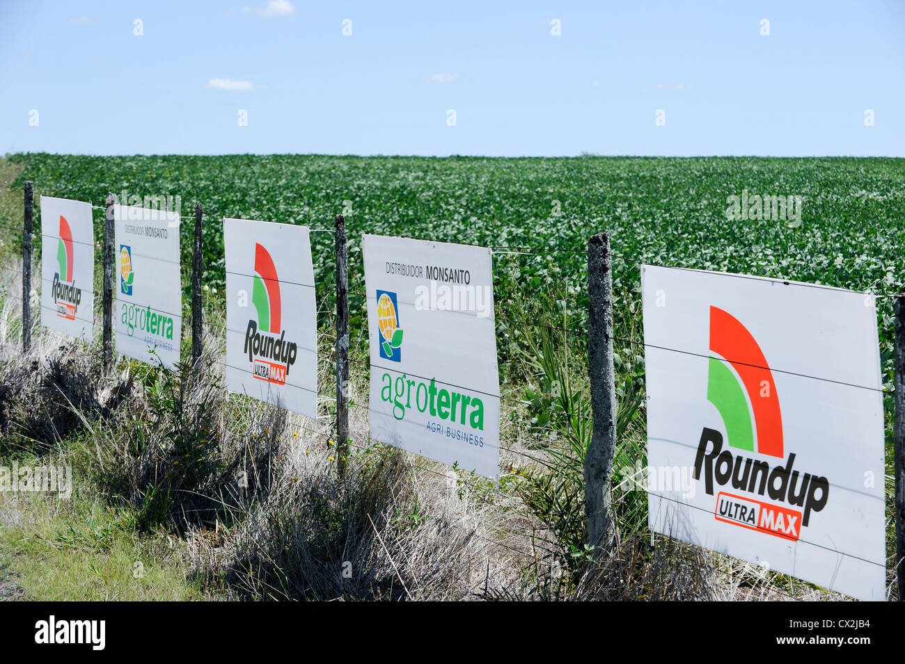 URUGUAY Monsanto GMO (gene modified organism) soya bean field and ...