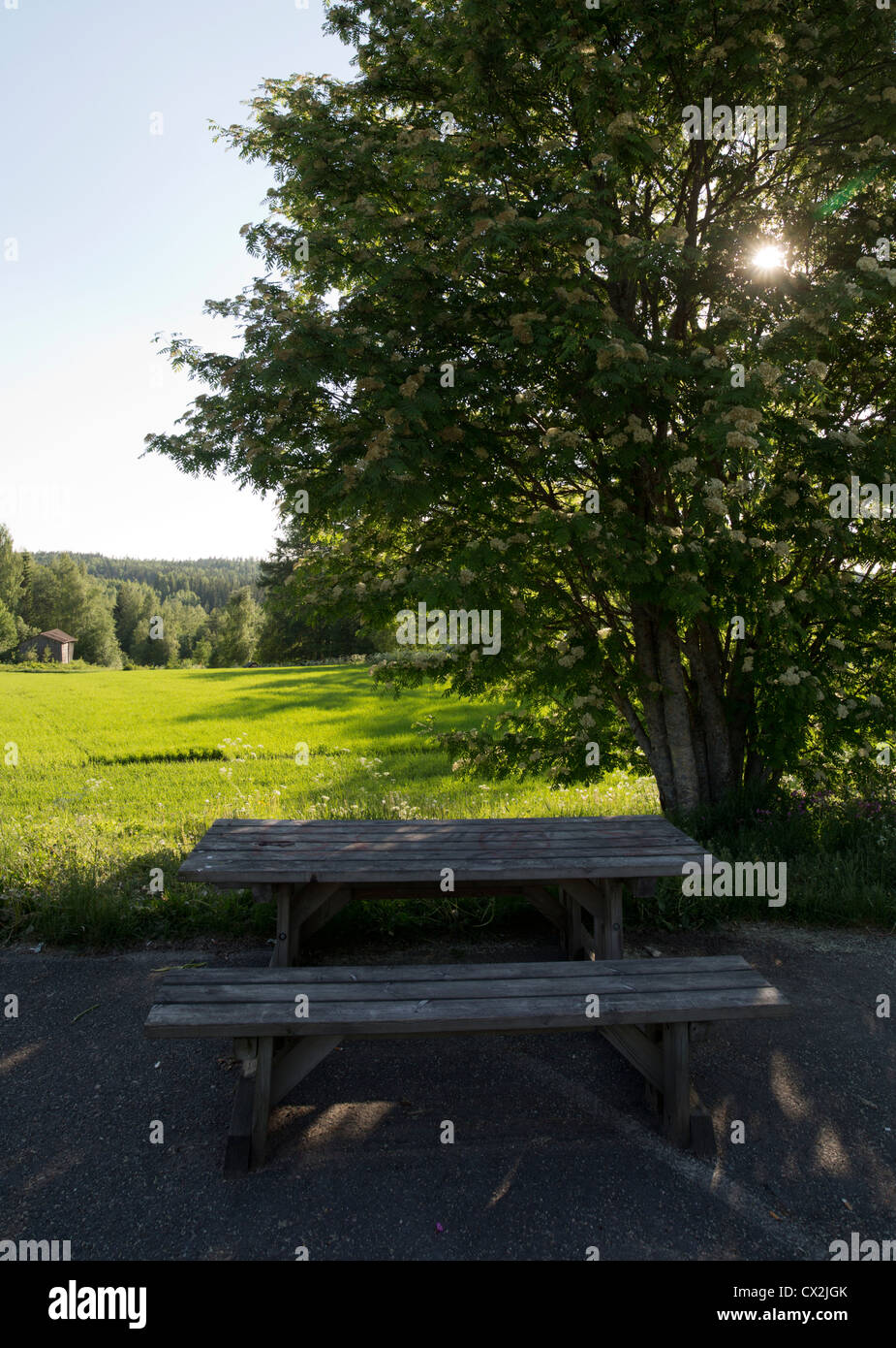 Wooden picnic table at highway rest stop in the tree shadow at Finnish ...