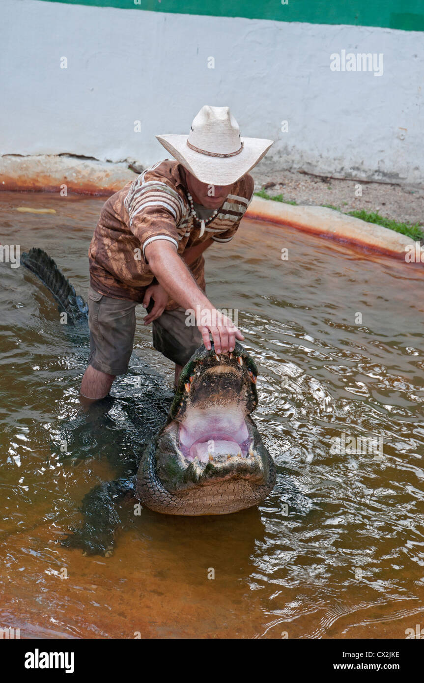 Jungle Queen cruise features a Tropical Isle with alligator wrestling ...