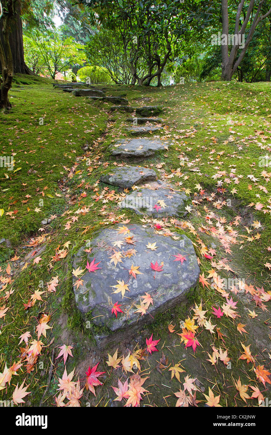 Fallen Japanese Maple Tree Leaves on Stone Steps and Moss in Autumn ...