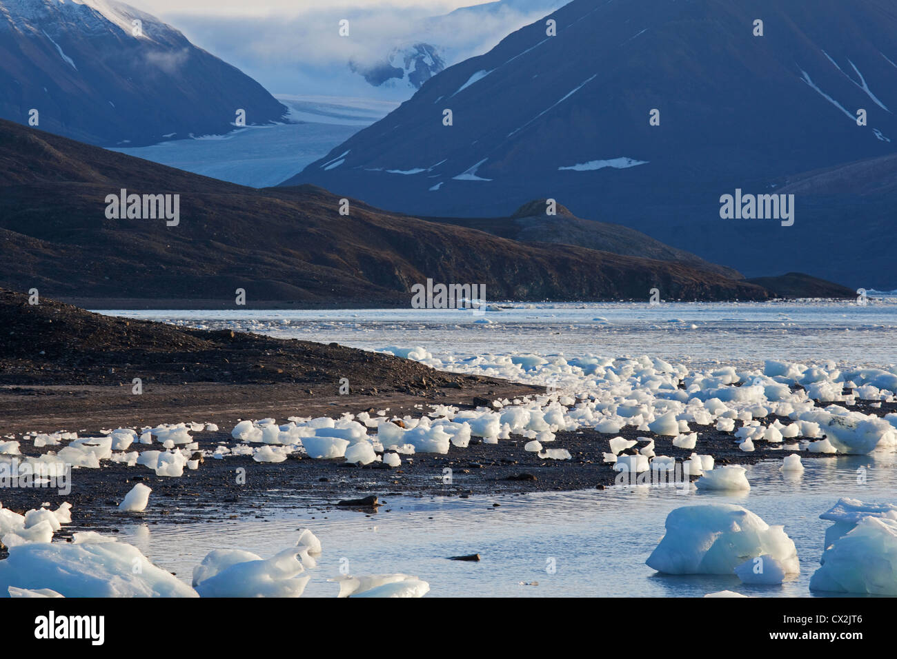 Chunks of ice from glacier washed ashore on beach at Svalbard ...