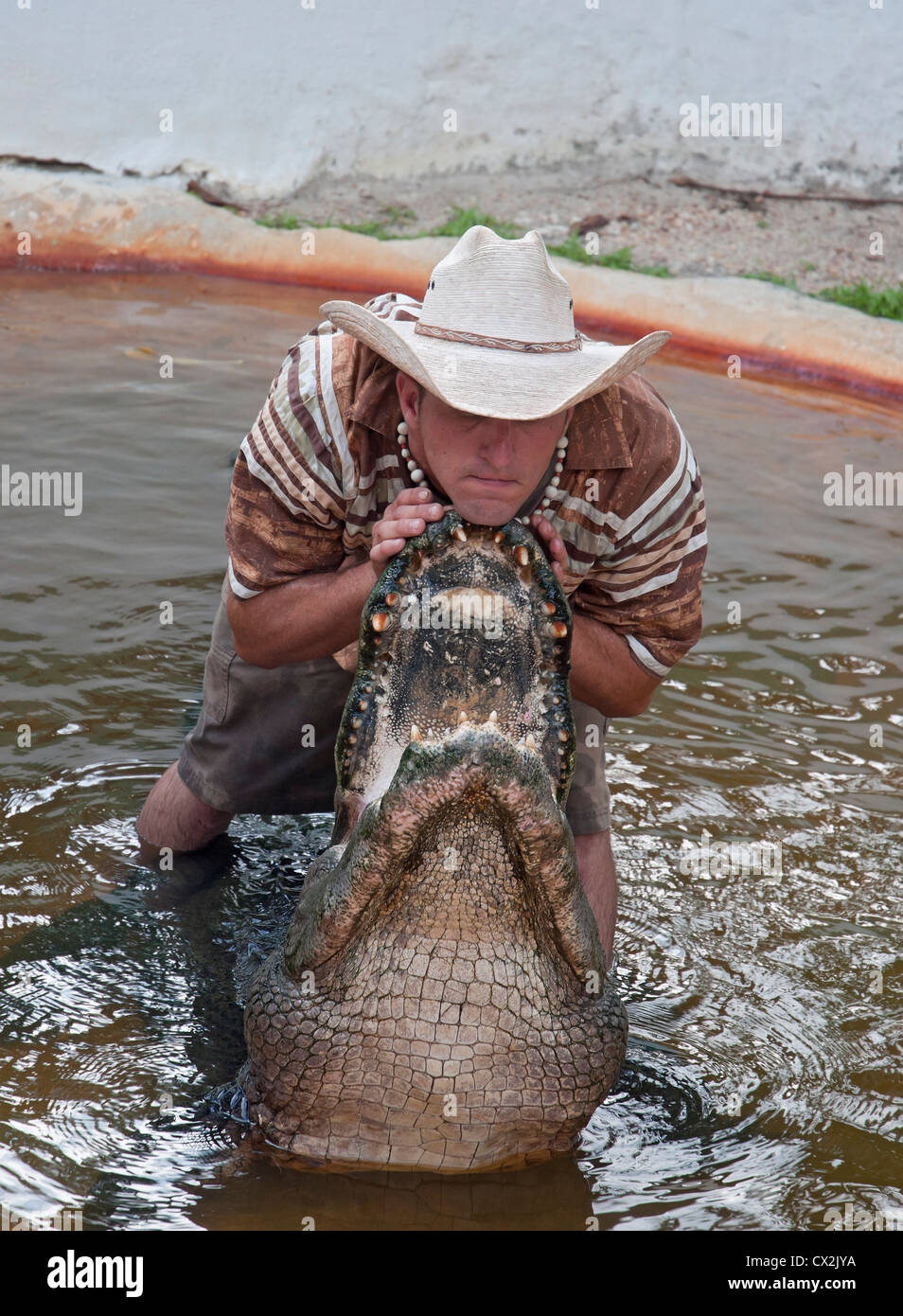 Jungle Queen cruise features a Tropical Isle with alligator wrestling ...