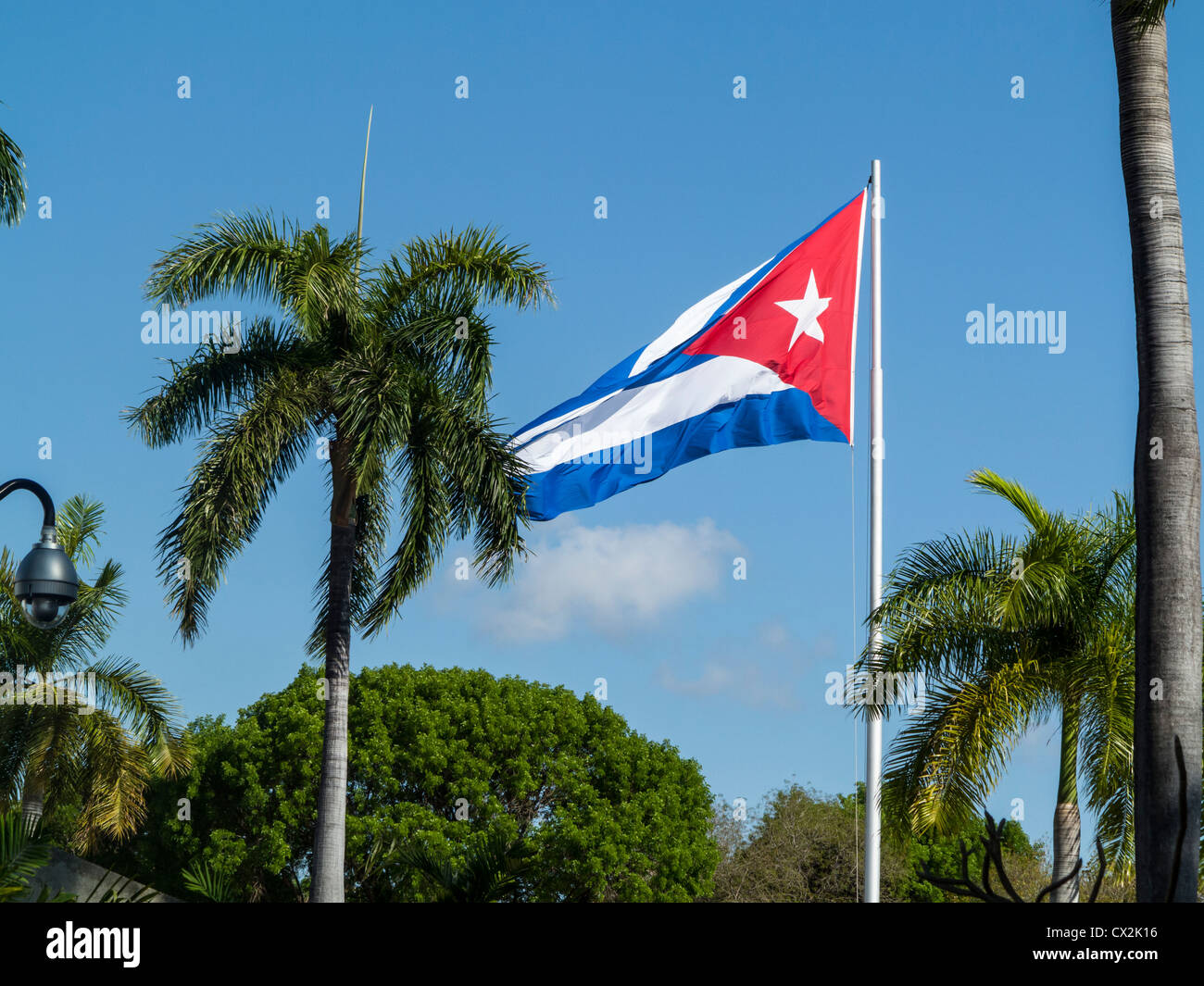 Flag by trees hi-res stock photography and images - Alamy