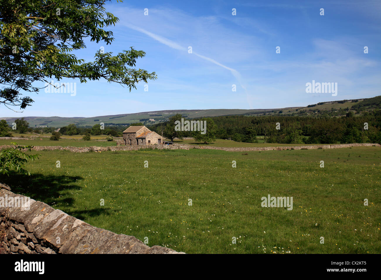 Summer, West Witton Moor overlooking West Witton village, Yorkshire ...
