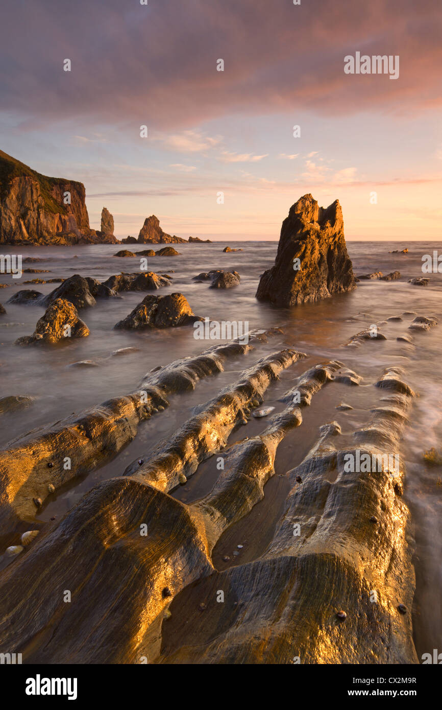 South devon coast dramatic hi-res stock photography and images - Alamy