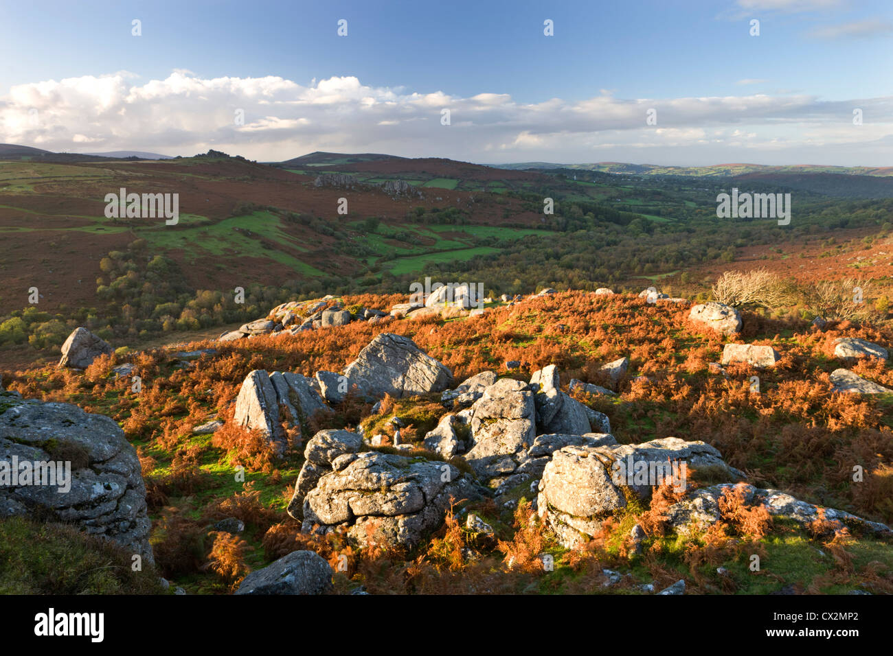 Moorland in Autumn, Dartmoor National Park, Devon, England. Autumn ...
