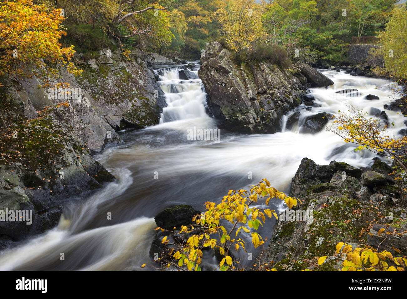 Autumn foliage surrounds the river Garbe Uisge at the Falls of Leny ...