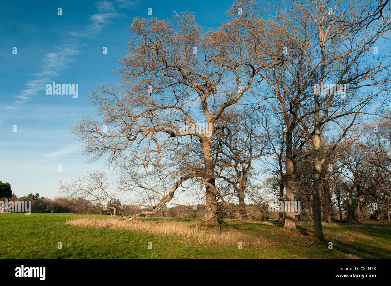 Appleton Farms in ipswich and Hamilton, Massachusetts Stock Photo - Alamy