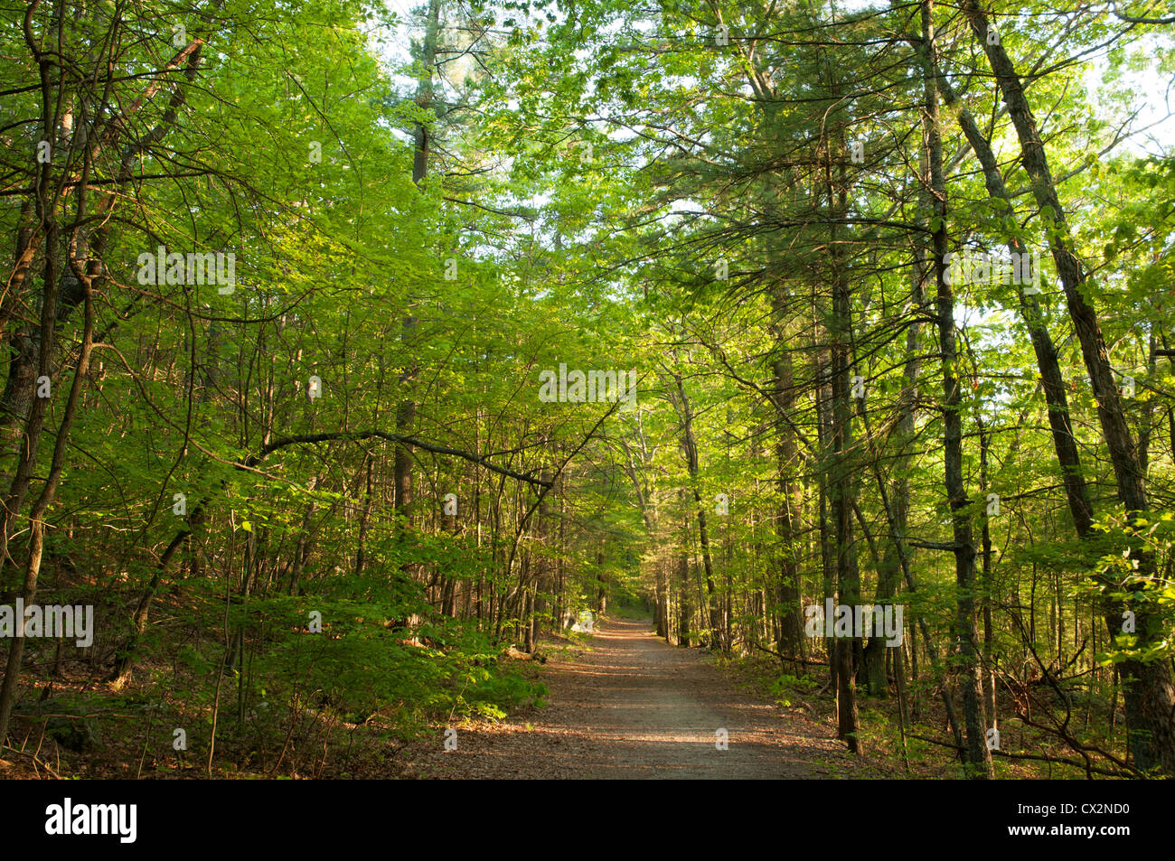 Andover road hi-res stock photography and images - Alamy