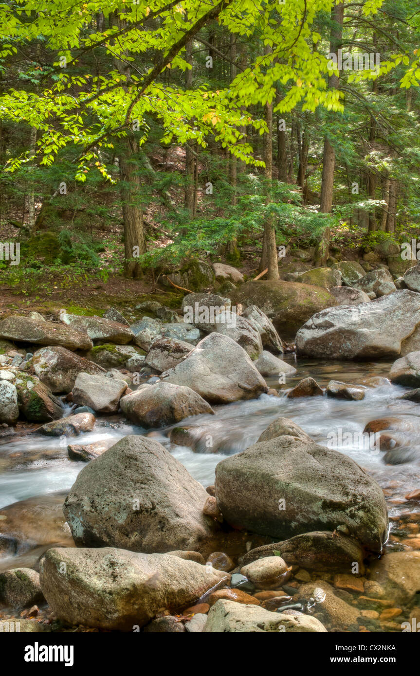 Ossipee hi-res stock photography and images - Alamy