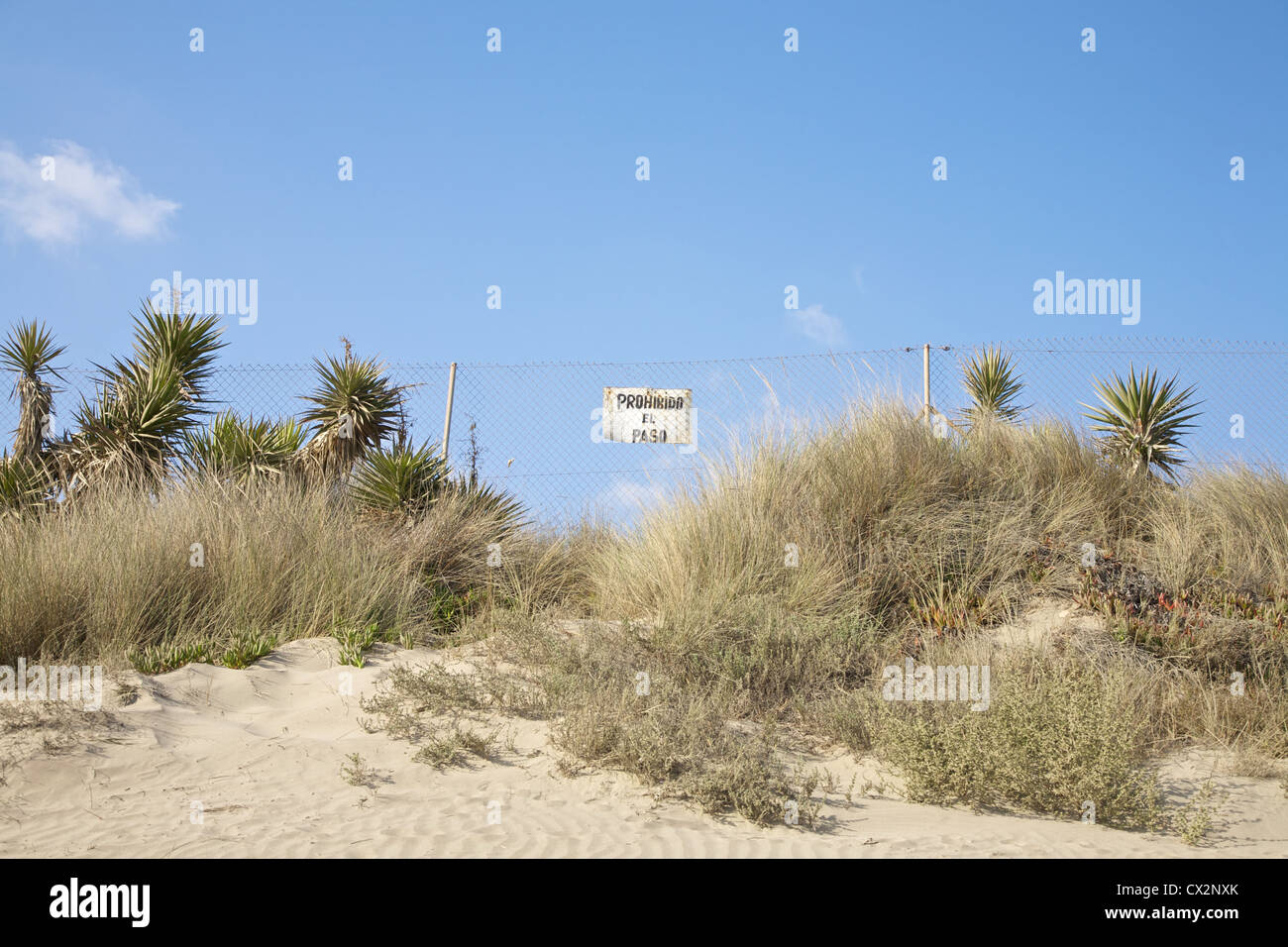 No thoroughfare sign on metal barbed wire entanglement Stock Photo - Alamy