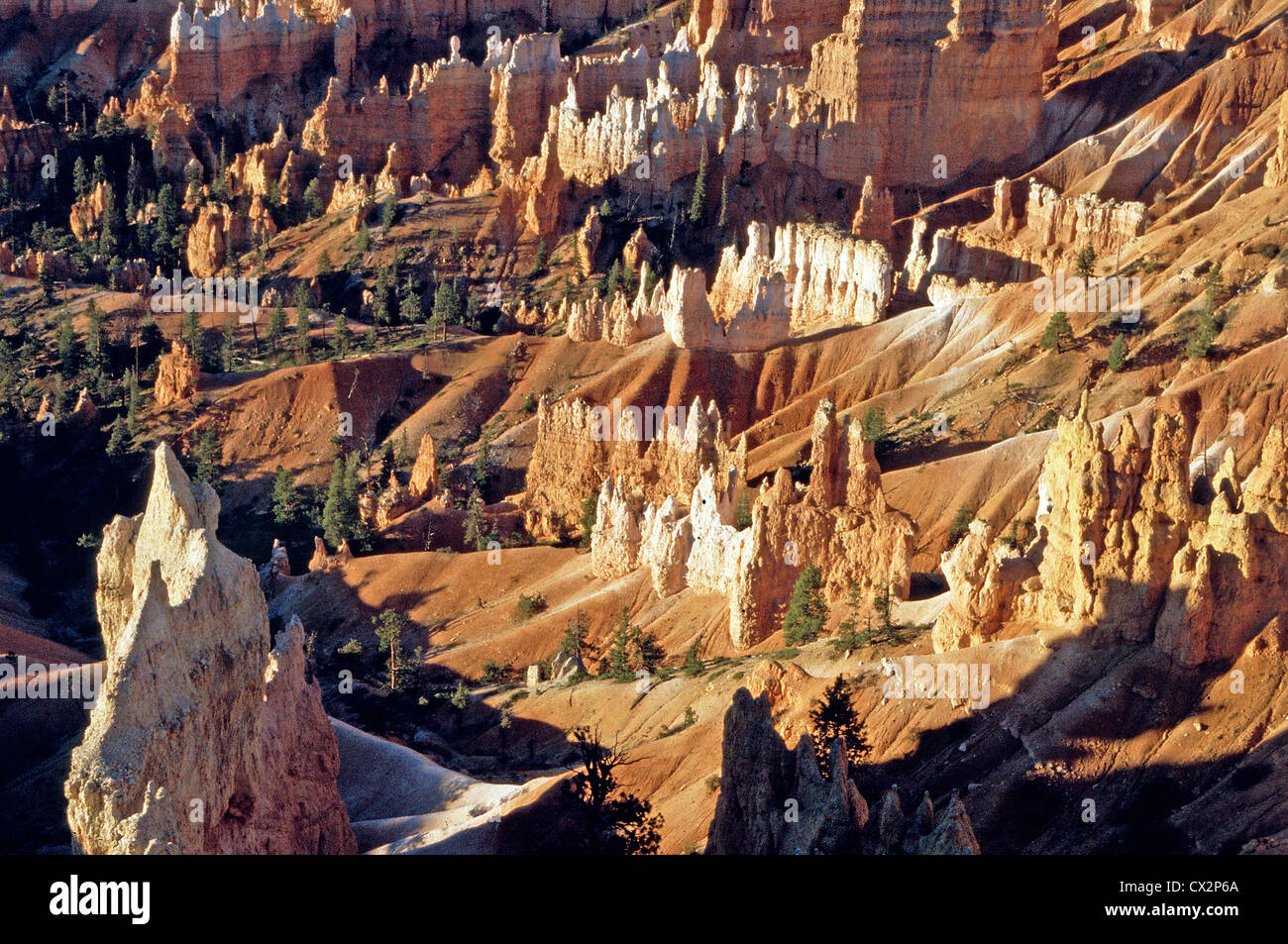 View of Bryce Canyon from Fairyland Point, Utah Stock Photo - Alamy