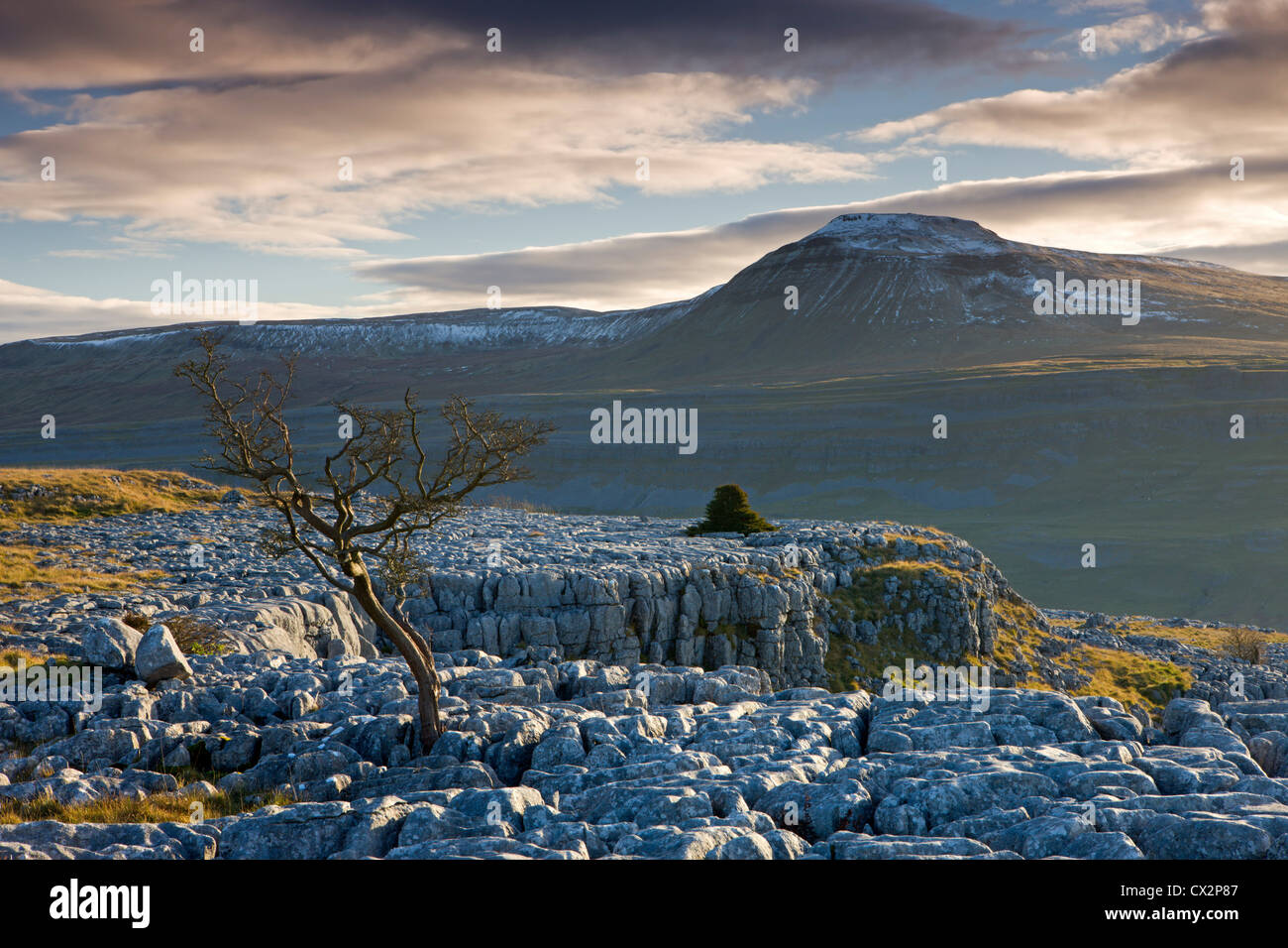 Limestone Pavements High Resolution Stock Photography and Images - Alamy