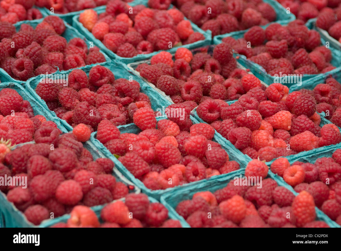 Raspberries for sale at the local Farmers Market in Monterey ...