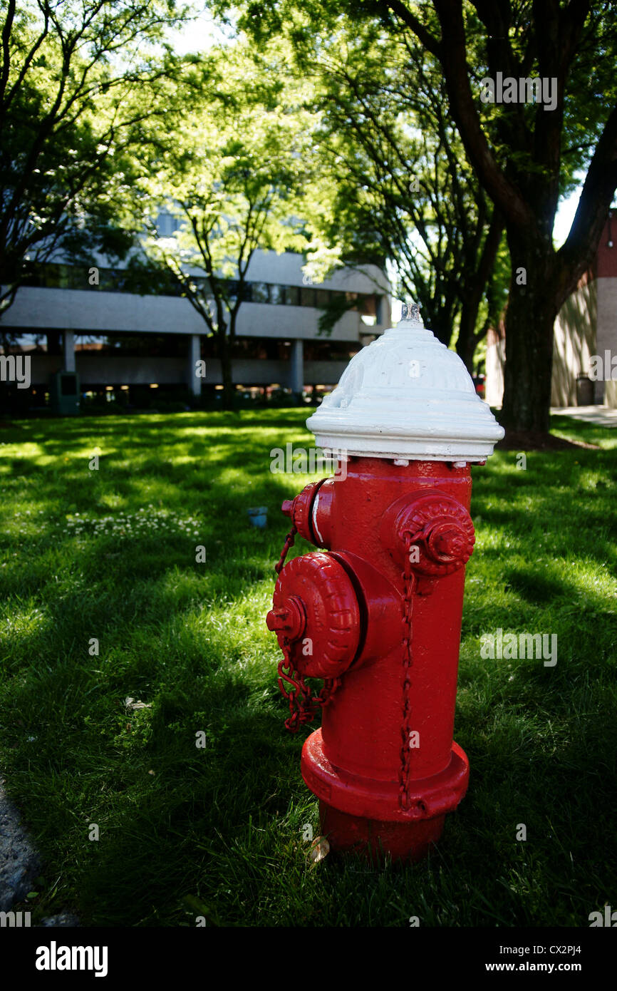 Traditional style American Fire Hydrant on a grassy lawn Stock Photo ...