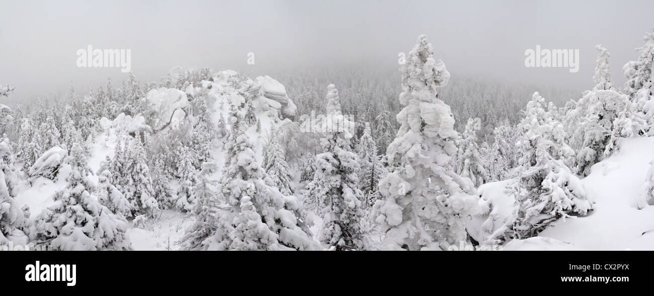 Taiga snow panoramic hi-res stock photography and images - Alamy