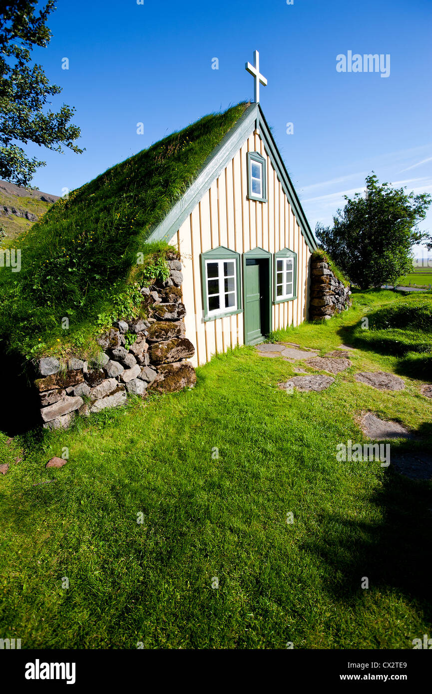 Iceland family tree hi-res stock photography and images - Alamy