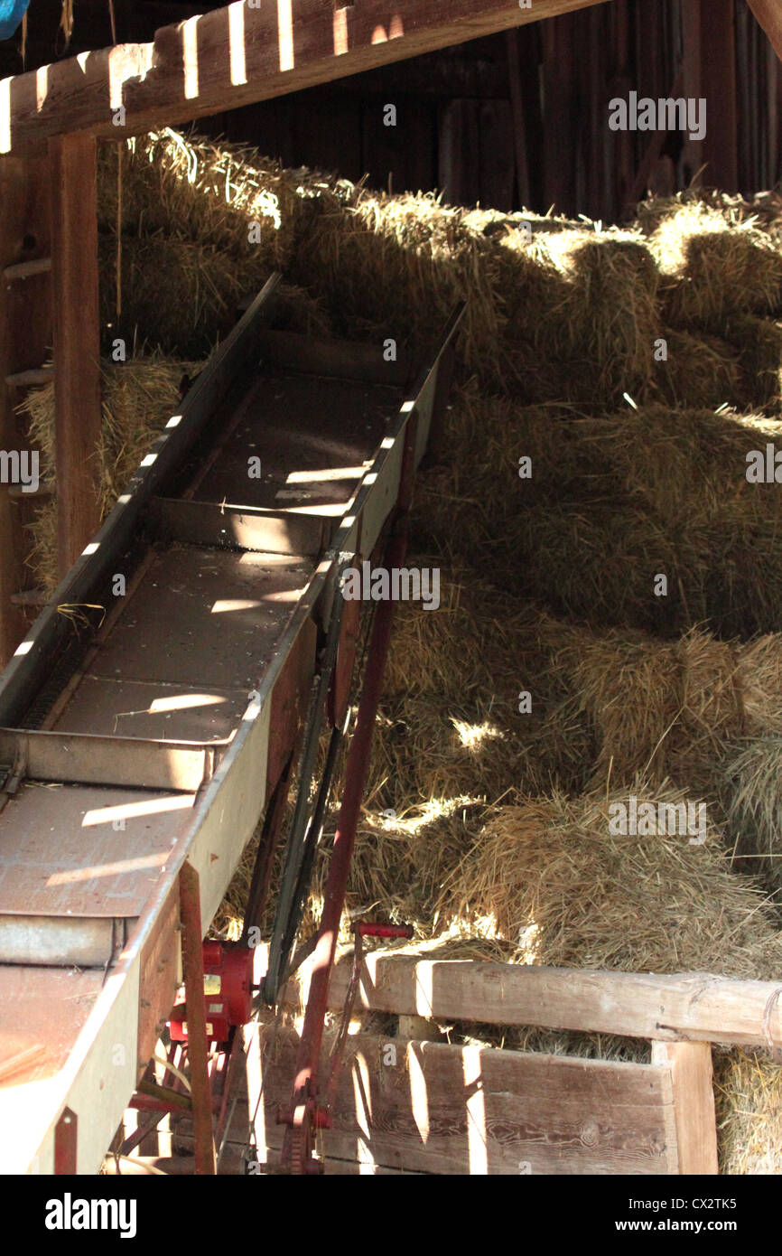 Hay elevator hi-res stock photography and images - Alamy