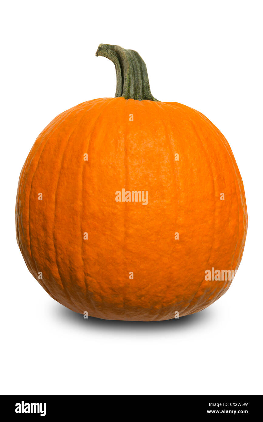Pumpkin uncarved hi-res stock photography and images - Alamy