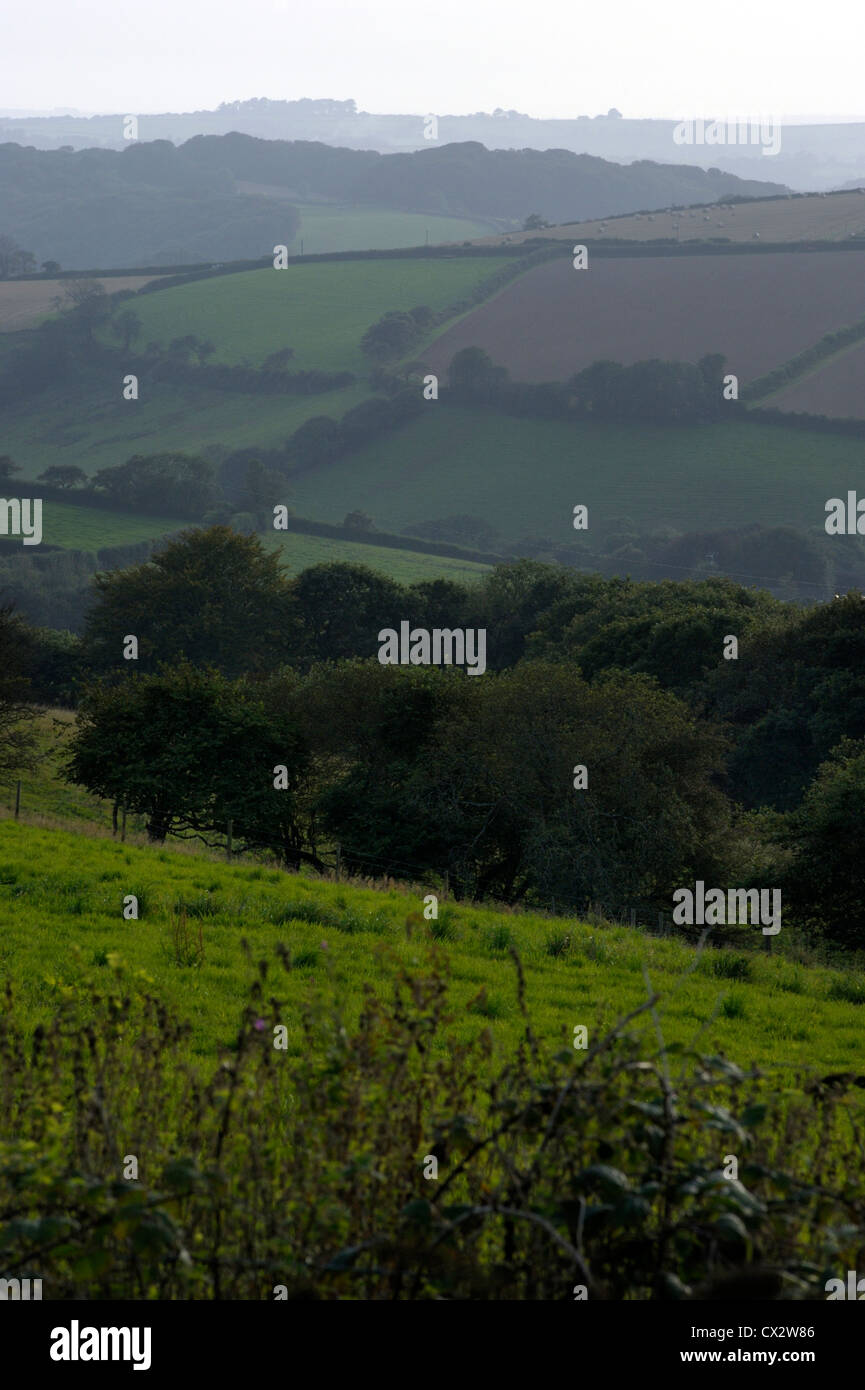 Cornish Fields at evening Stock Photo - Alamy