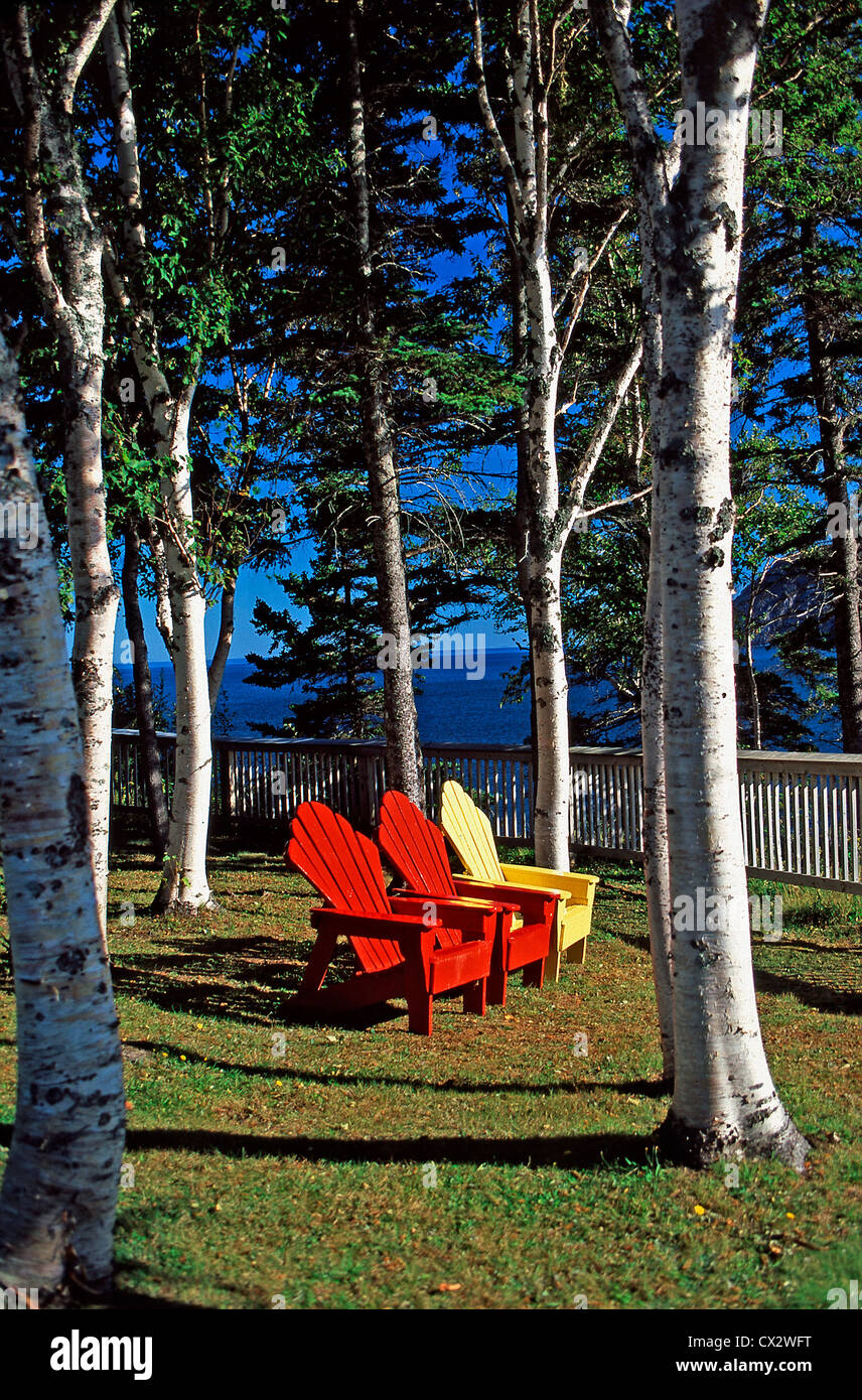 Adirondack chairs sitting amongst birch trees on Nova Scotia's Cape ...