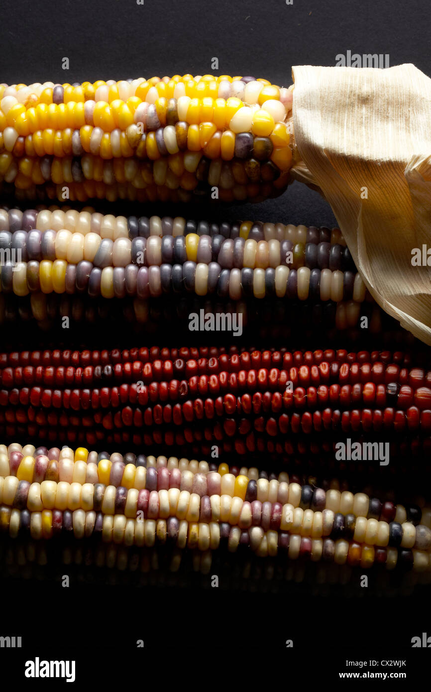 Indian corn hi-res stock photography and images - Alamy