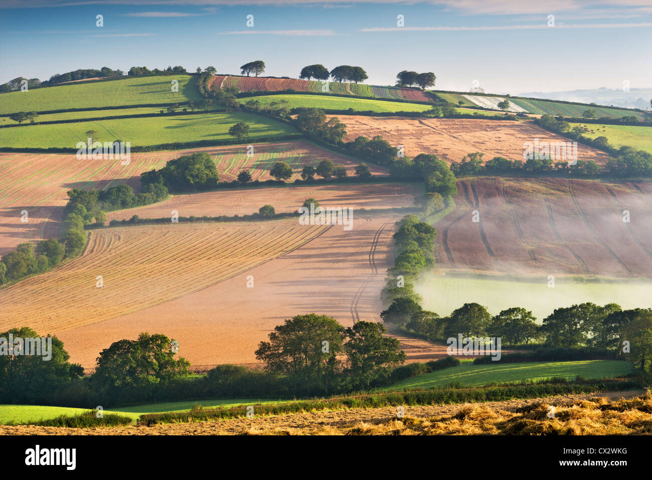 Rolling countryside on a misty morning, mid Devon, England. Autumn ...