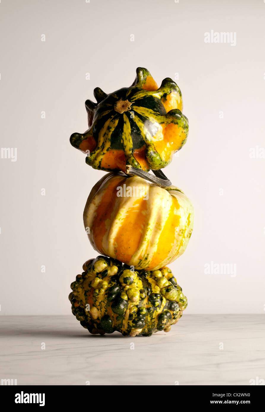 Pumpkins / squash Stock Photo - Alamy