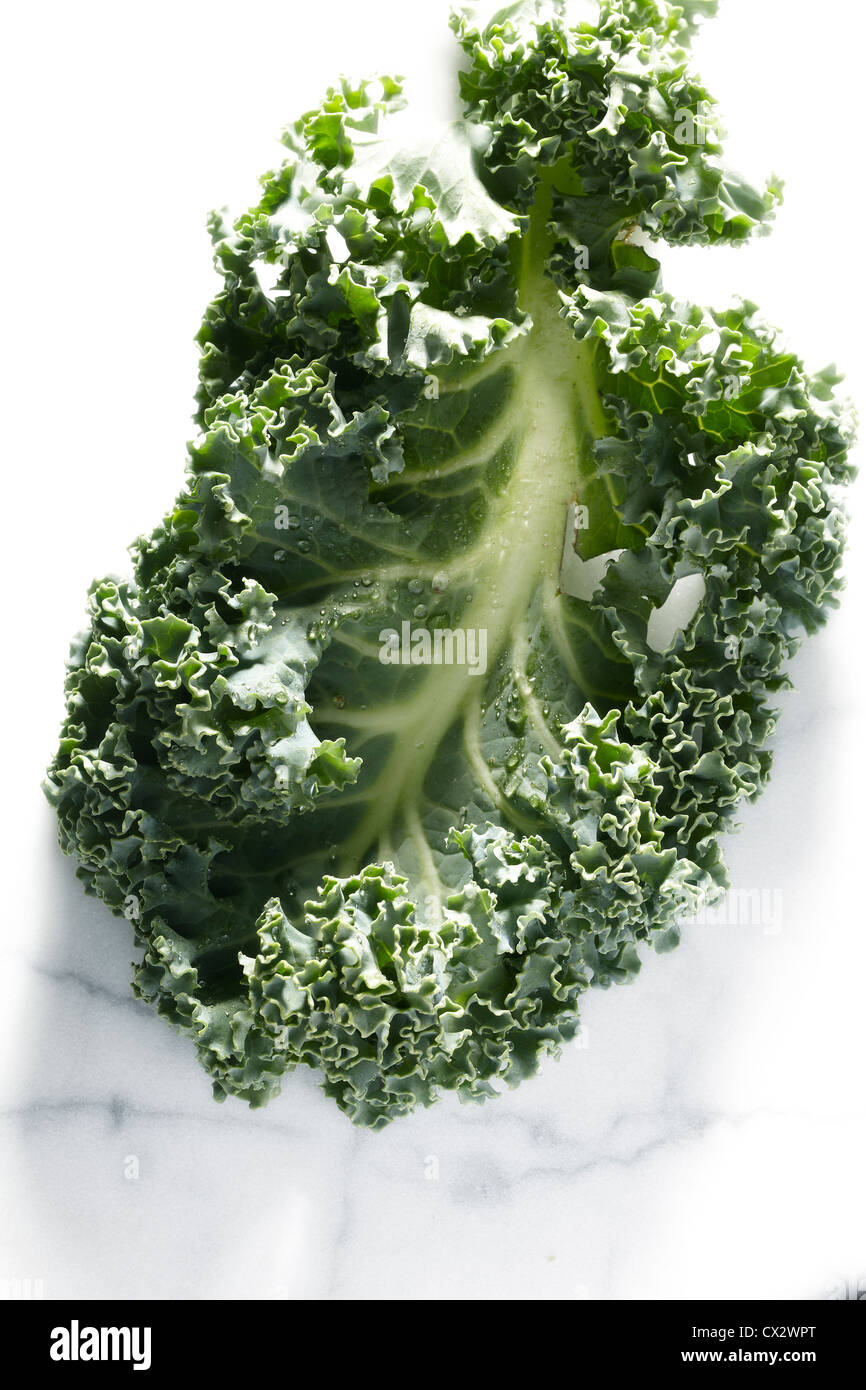 Kale leaf hi-res stock photography and images - Alamy
