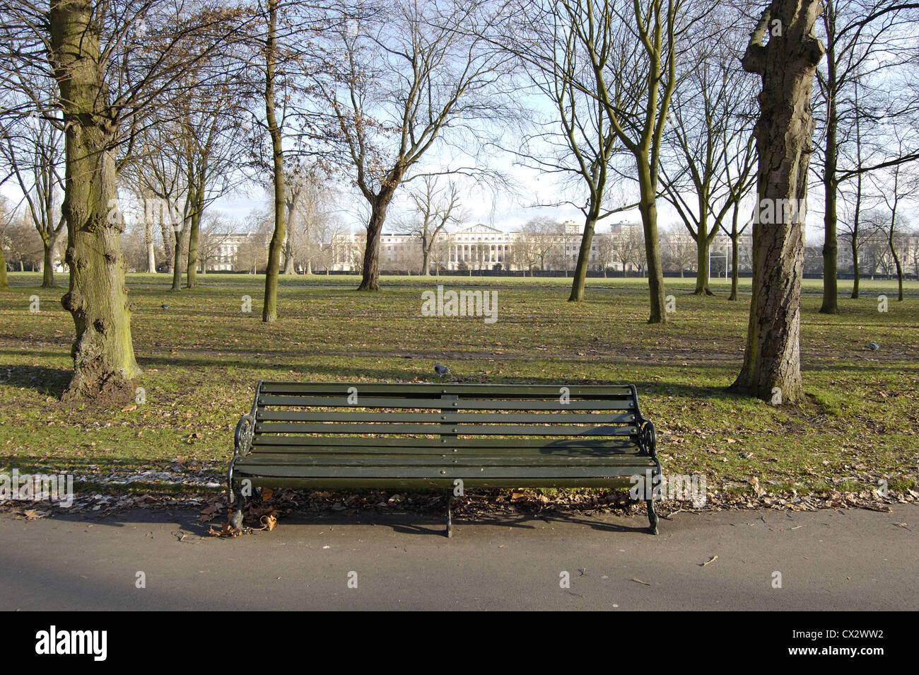 Wooden bench in front of trees in Regents Park, London, England Stock ...