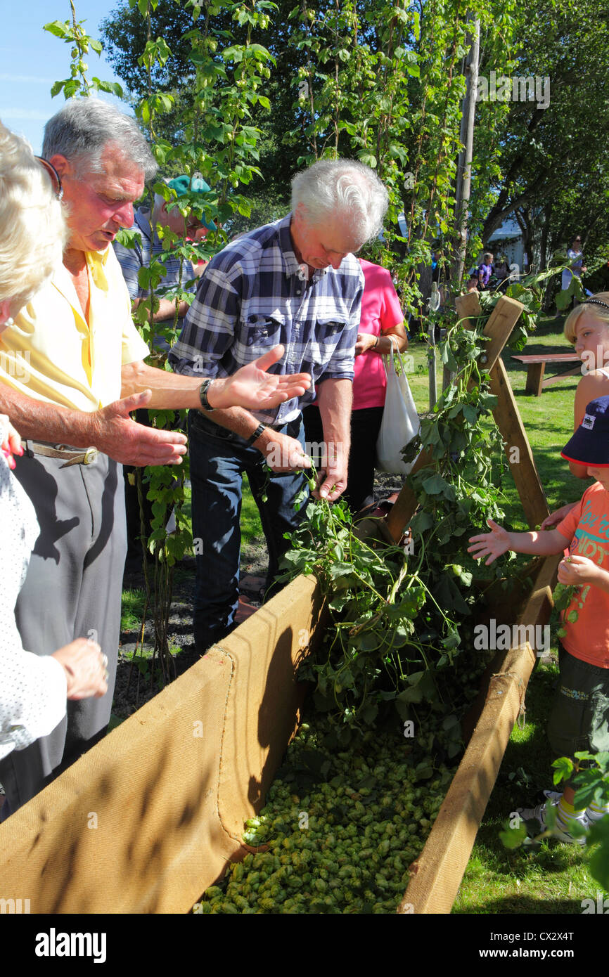 Hop picking kent hi-res stock photography and images - Alamy