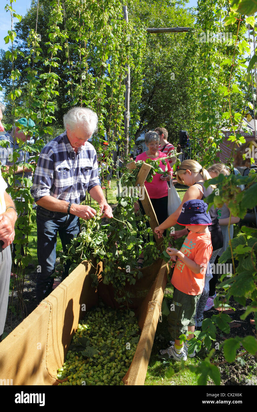 Hop pickers hop picking hi-res stock photography and images - Alamy