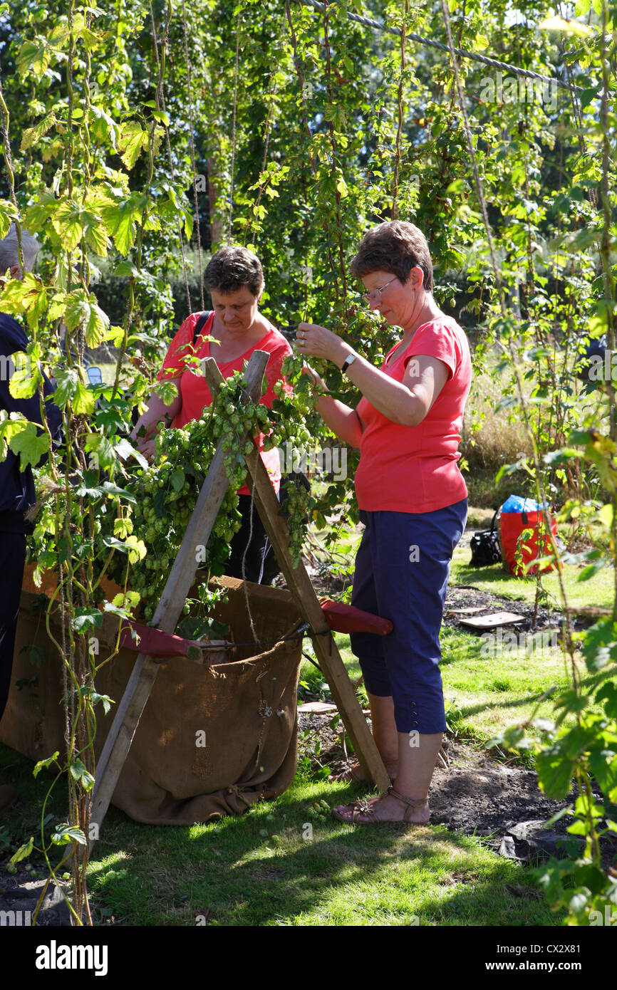 Hop Pickers High Resolution Stock Photography and Images - Alamy