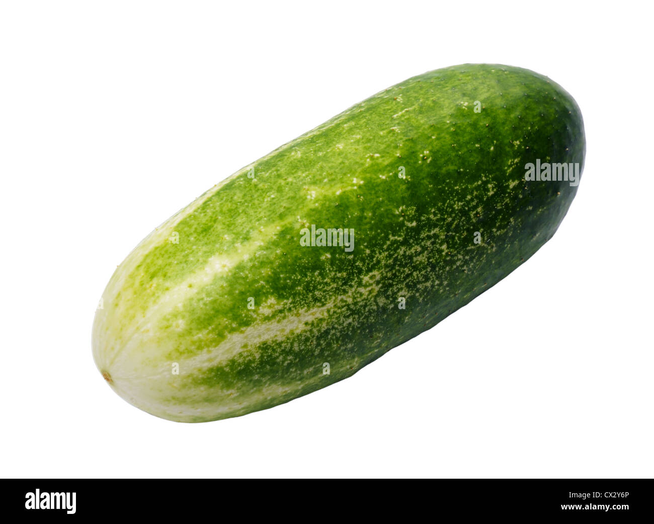 One cucumber on a white background, isolated Stock Photo - Alamy